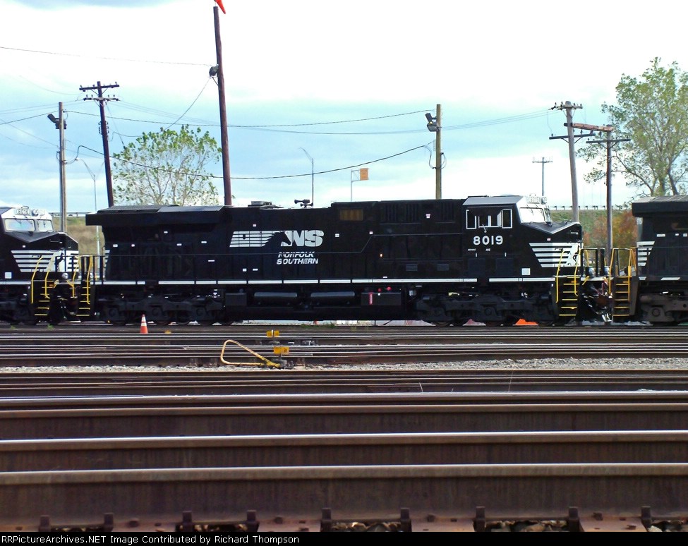 NS 8019
